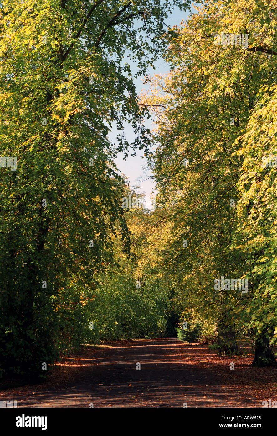 Autumnal view in southern Scotland Stock Photo - Alamy