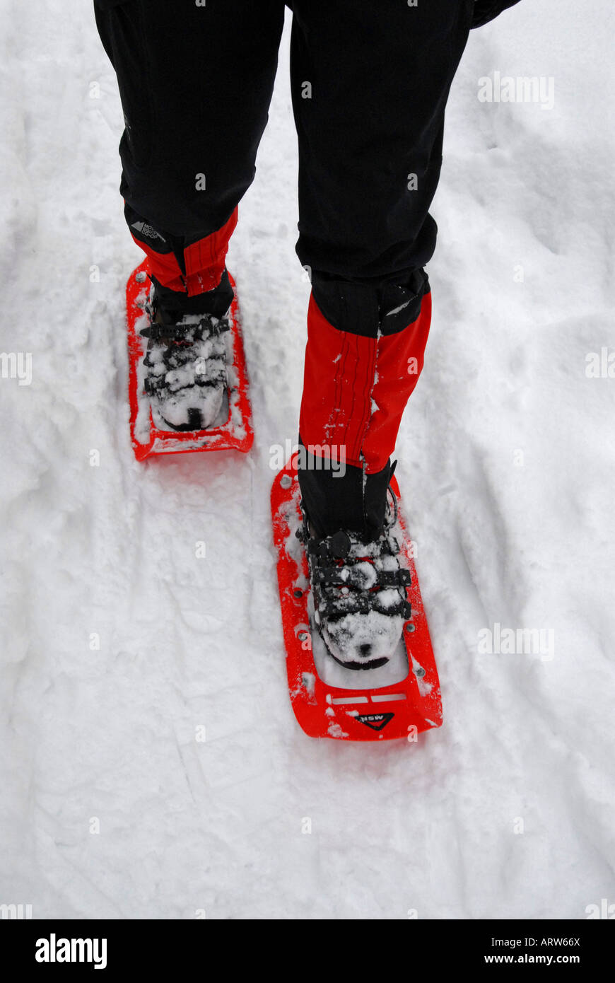 Close up snowshoes hi-res stock photography and images - Alamy