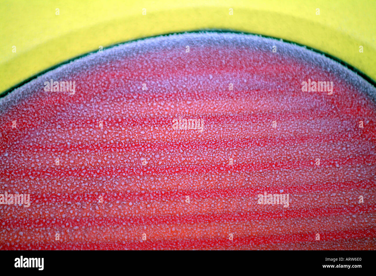 light yellow vw Stock Photo - Alamy