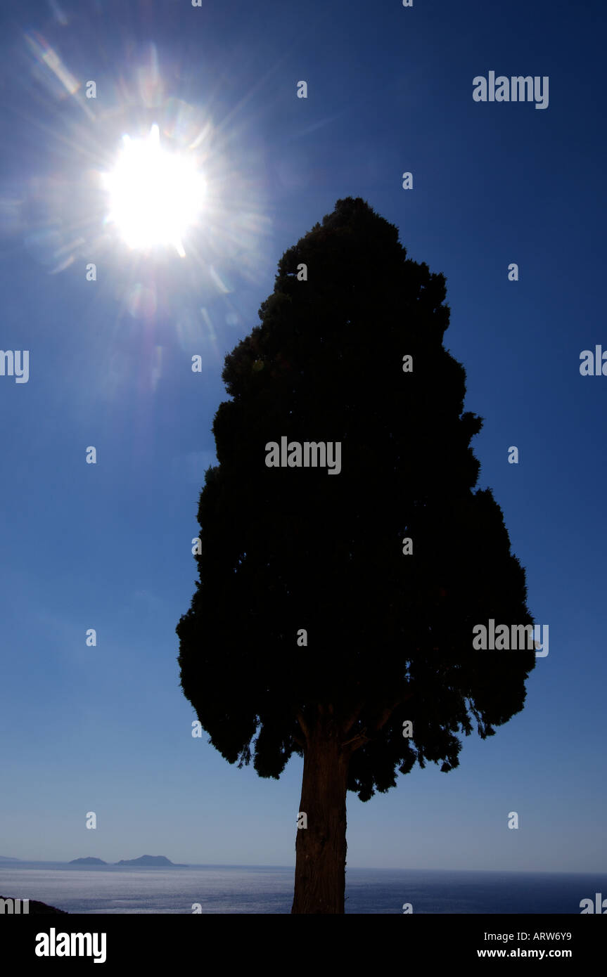 Crete Moni Preveli the greek orthodox monastery Stock Photo - Alamy