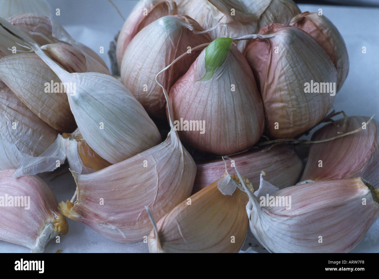Allium sativum 'Spring White'. Garlic bulbs and cloves ready to plant ...