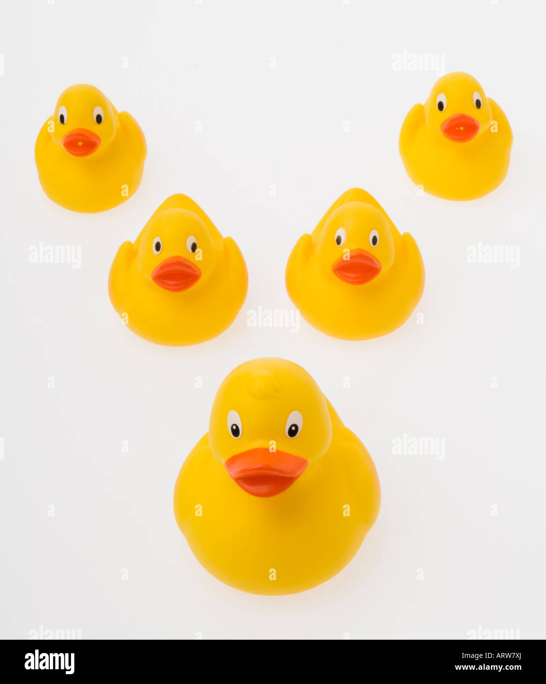 Five Baby Ducks High Resolution Stock Photography and Images - Alamy