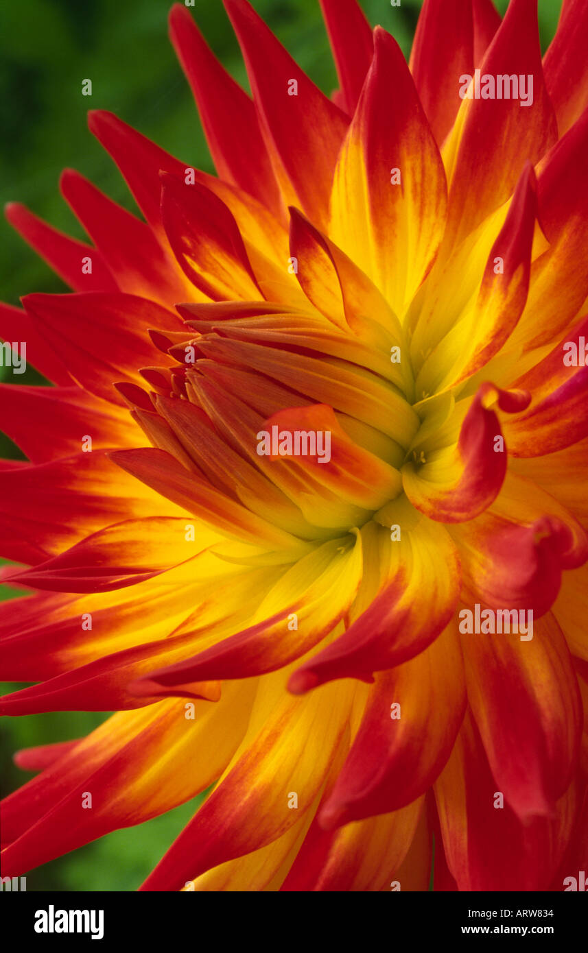 Kenora sunset hi-res stock photography and images - Alamy