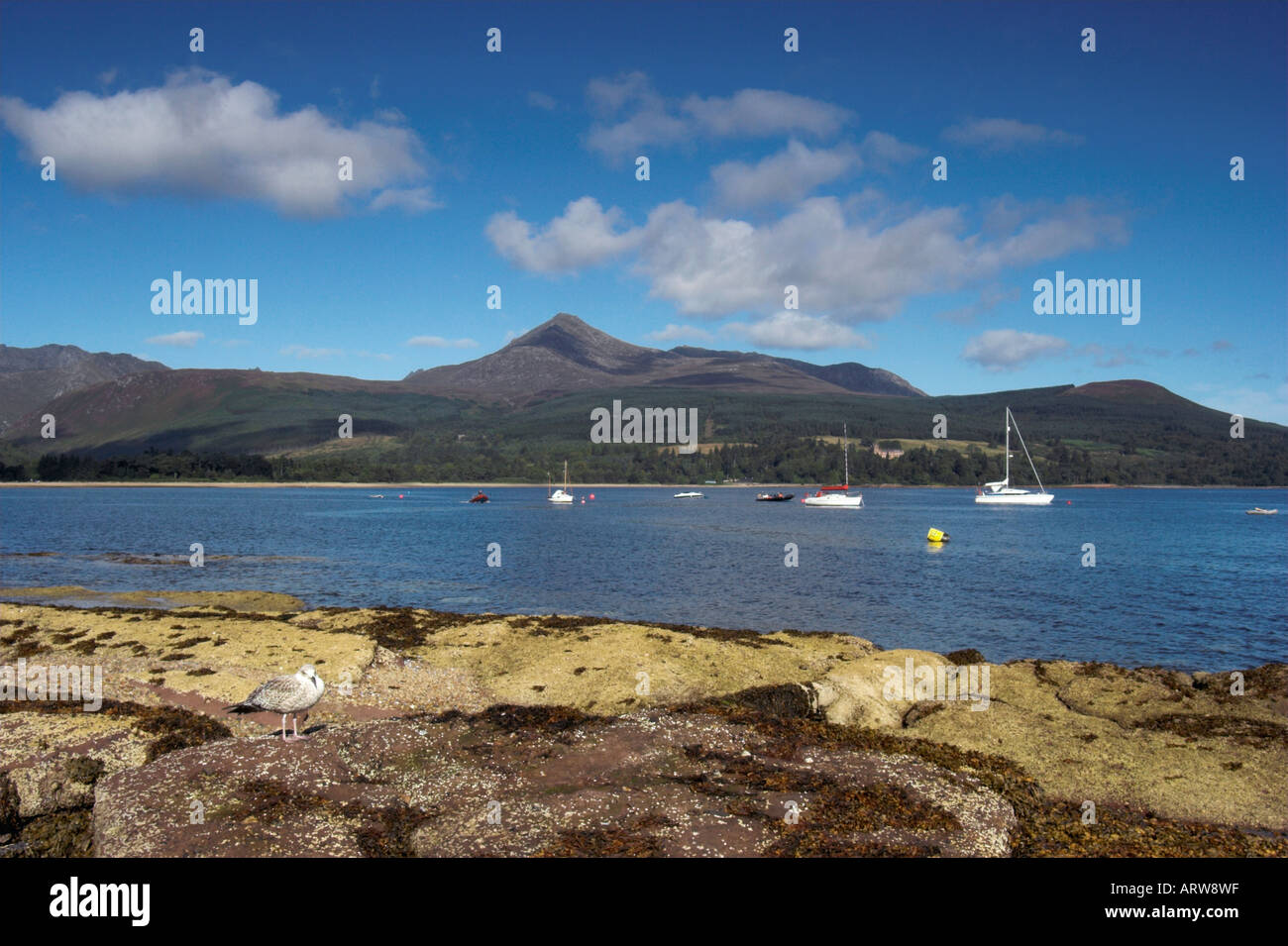 landscape photo of Brodick Bay in Isle of Arran in summer with Goatfell ...