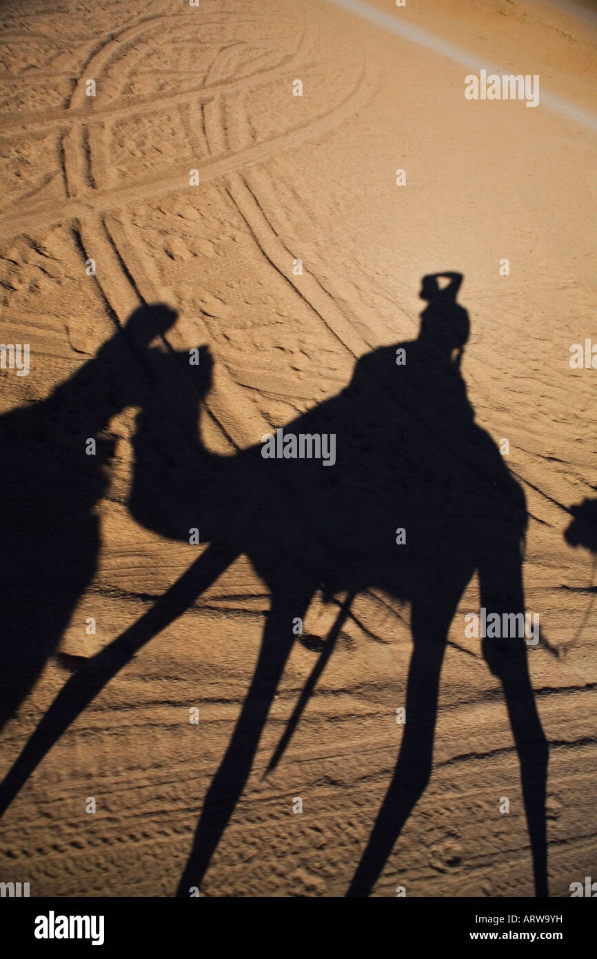 Bedouin riding camel sinai egypt hi-res stock photography and images ...