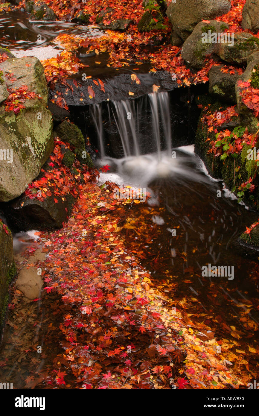 Victoria Park In Autumn High Resolution Stock Photography and Images ...
