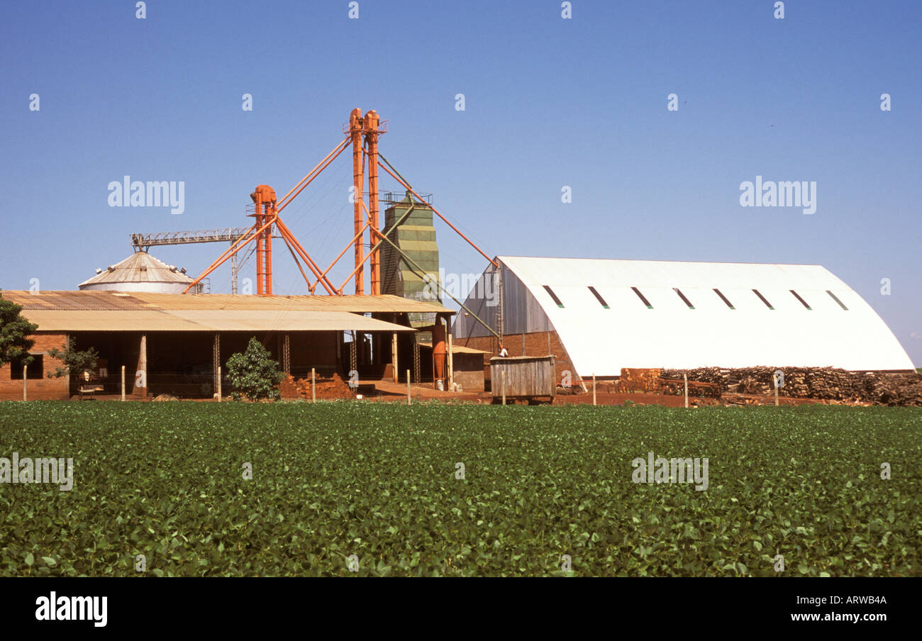 Soybean production hi-res stock photography and images - Alamy
