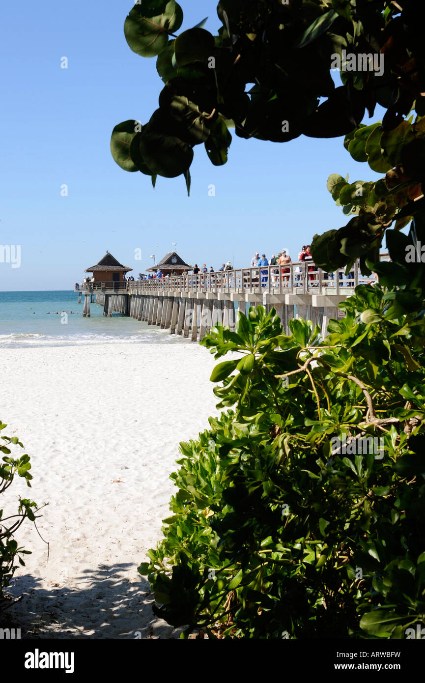 The famous Naples Florida Pier Stock Photo - Alamy