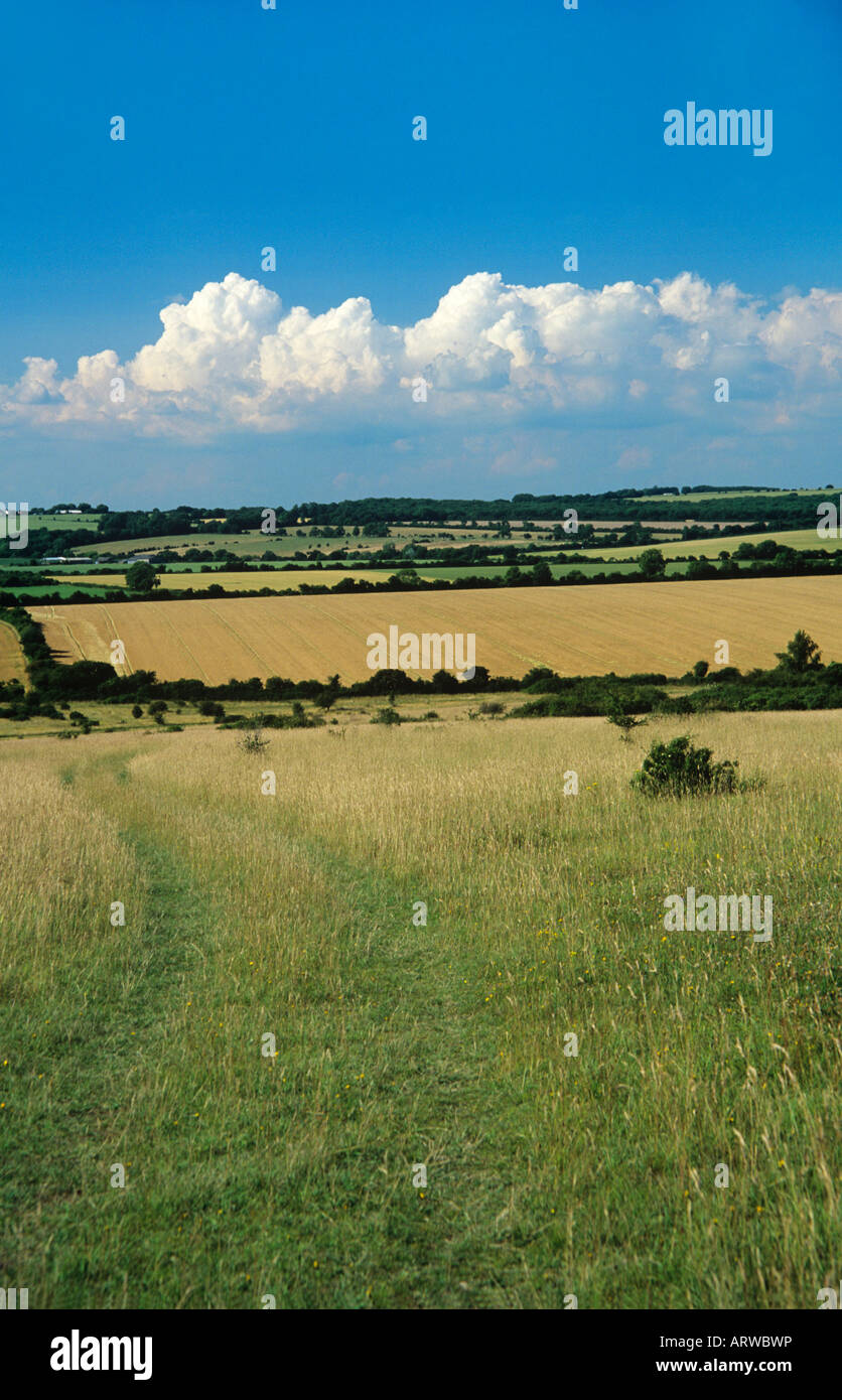 English Farm Landscape with Clouds Stock Photo - Alamy