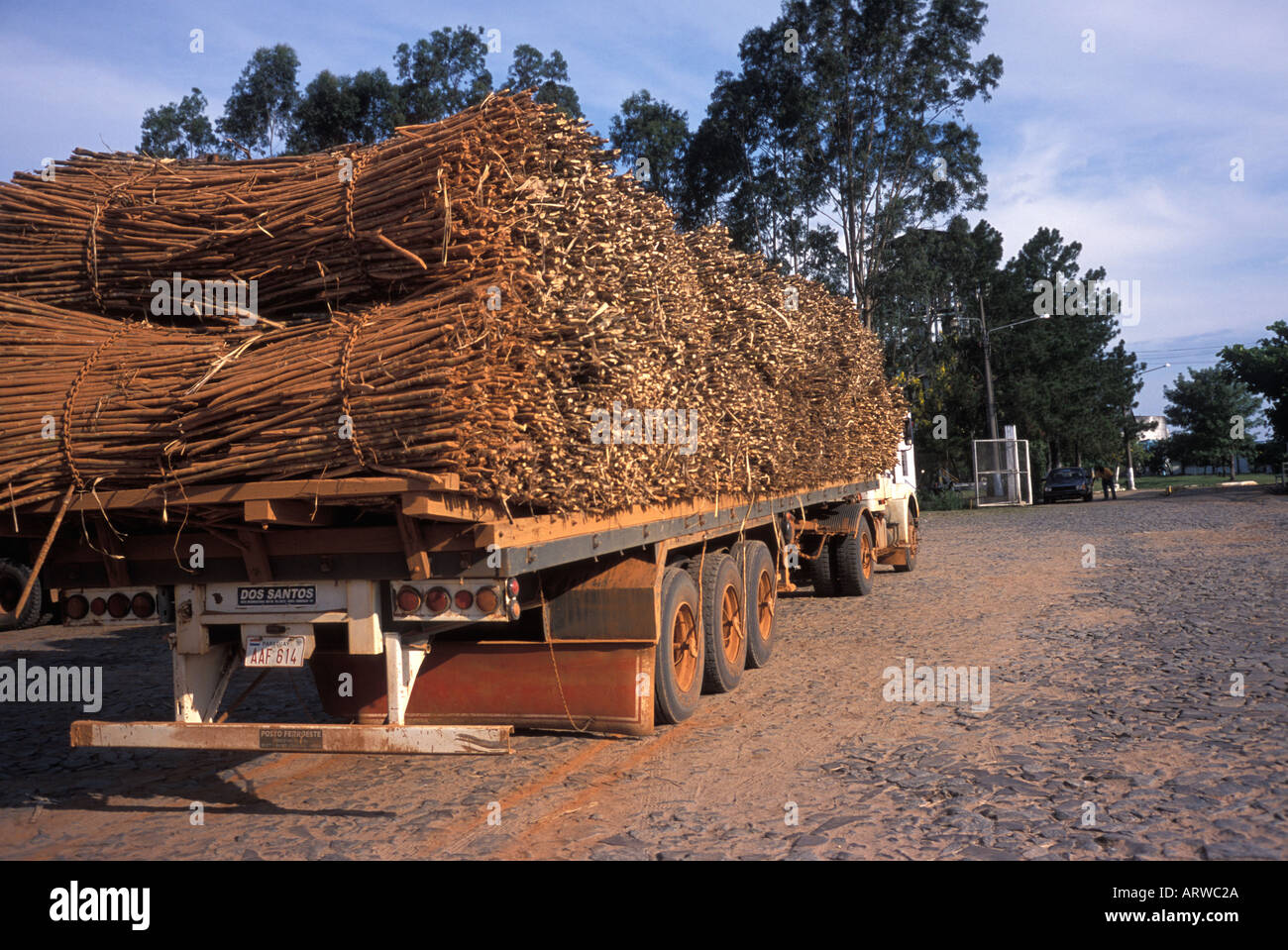 Sugar Cane Transport High Resolution Stock Photography and Images - Alamy