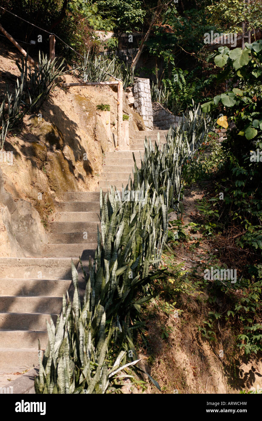 Step path on Coloane Island, Macau Stock Photo - Alamy