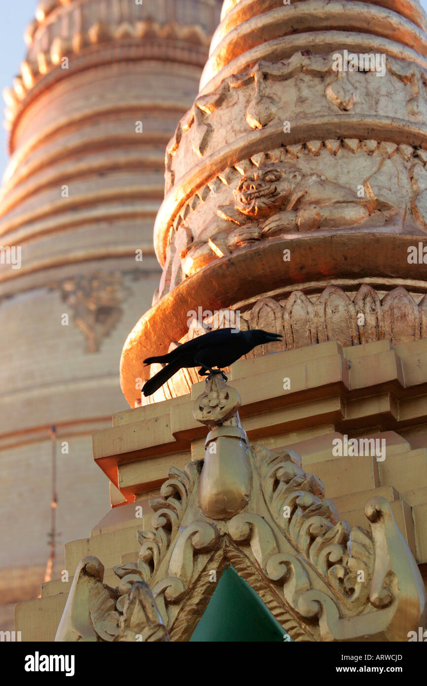 Shwedagon Pagoda, Rangoon,(Yangon), Burma, (Myanmar Stock Photo - Alamy