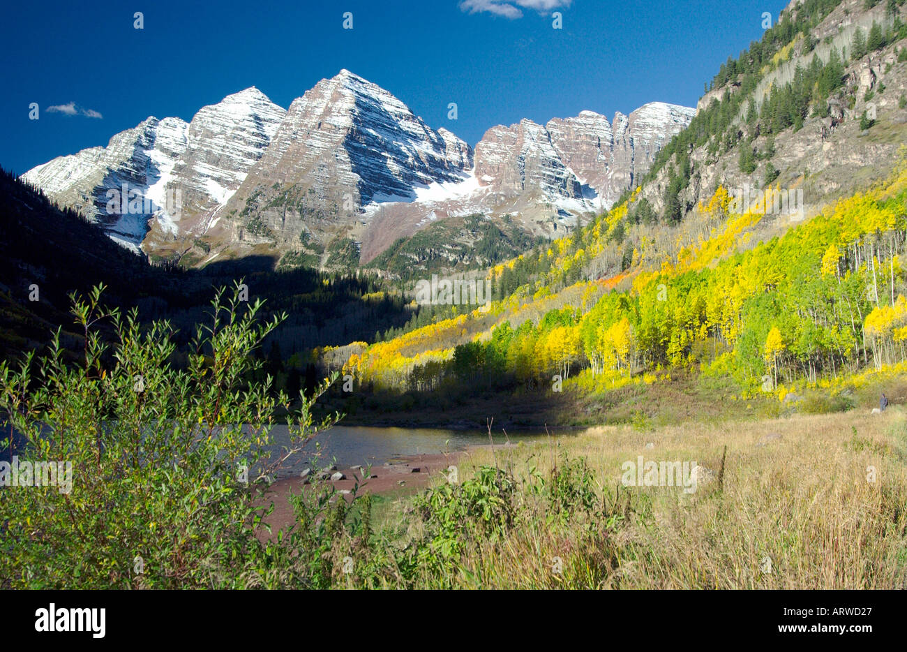 Fall foliage and the Maroon Bells in Colorado USA Stock Photo - Alamy