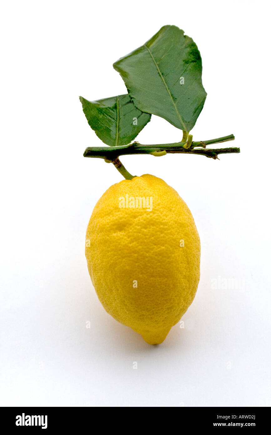 Limonetto hi-res stock photography and images - Alamy