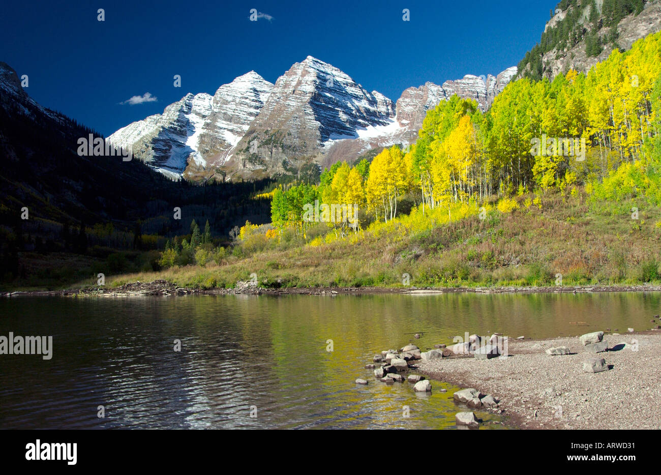 Fall foliage and the Maroon Bells in Colorado USA Stock Photo - Alamy