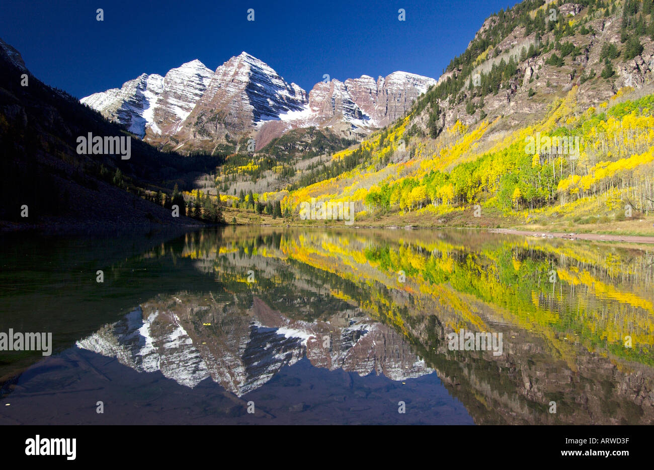 Fall foliage and the Maroon Bells in Colorado USA Stock Photo - Alamy