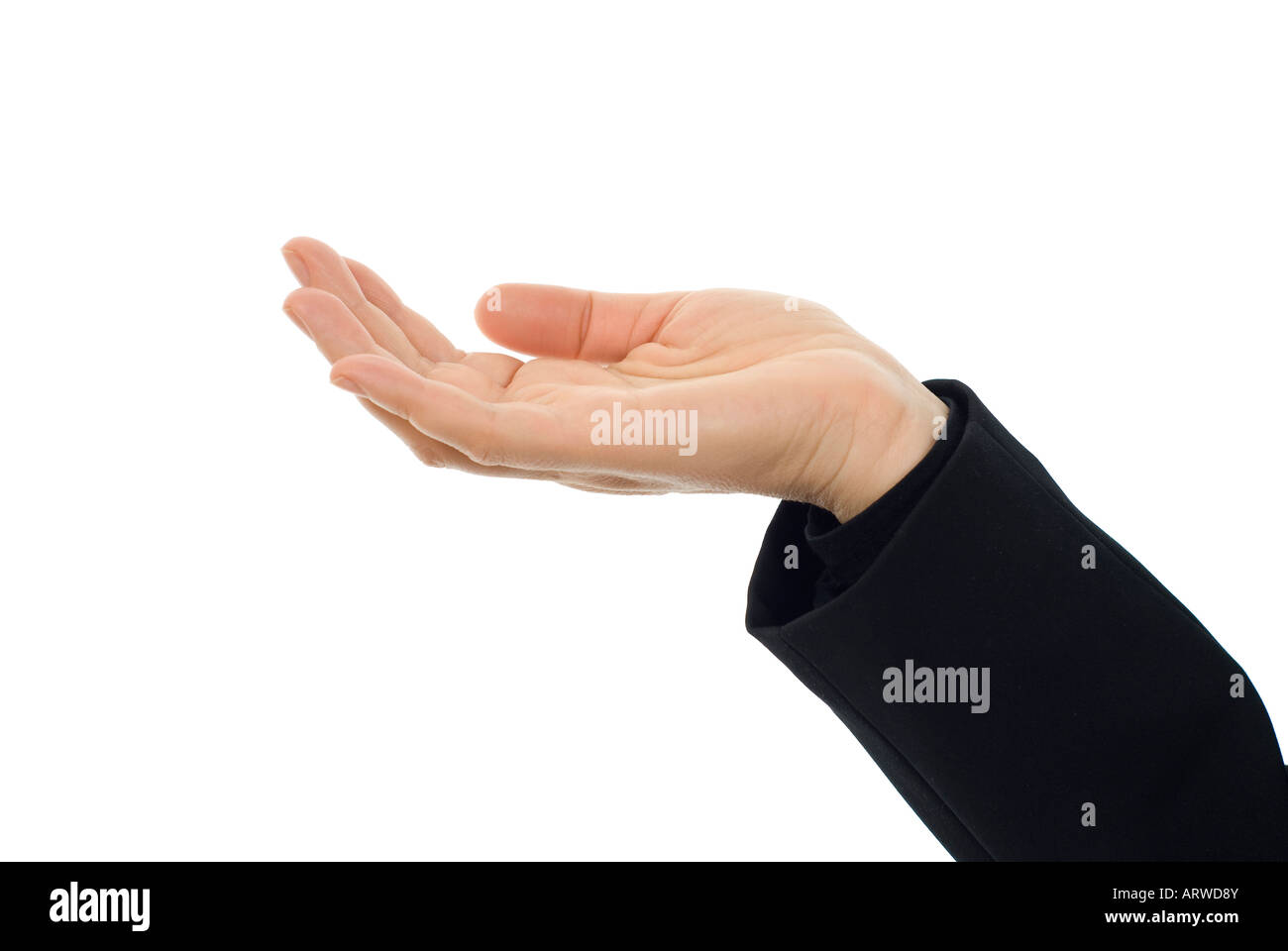 Female hand isolated on a white background Stock Photo - Alamy