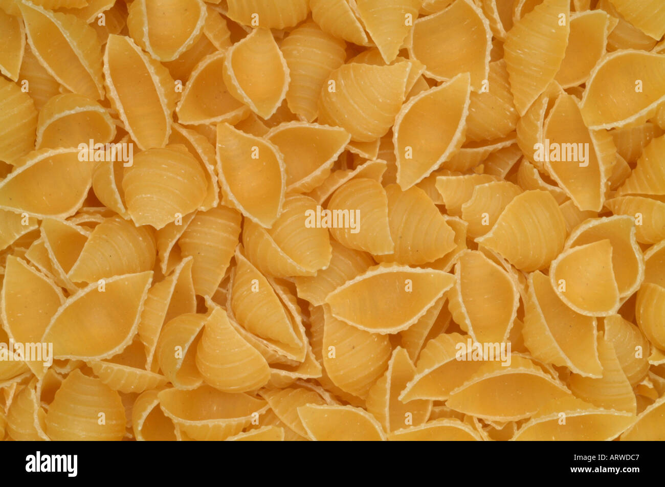 conchiglie shells Italian Italy pasta Stock Photo - Alamy