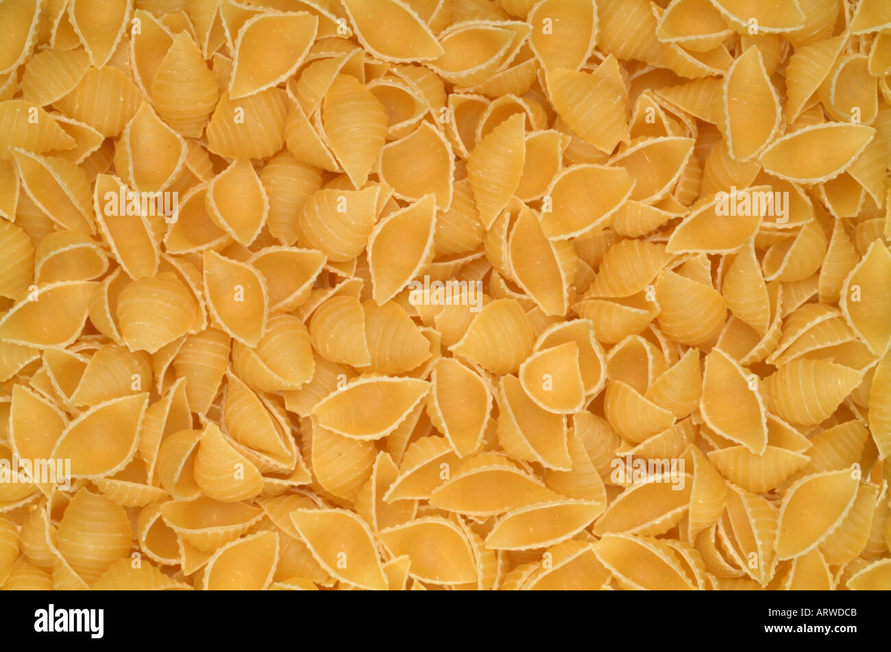 conchiglie shells Italian Italy pasta Stock Photo - Alamy