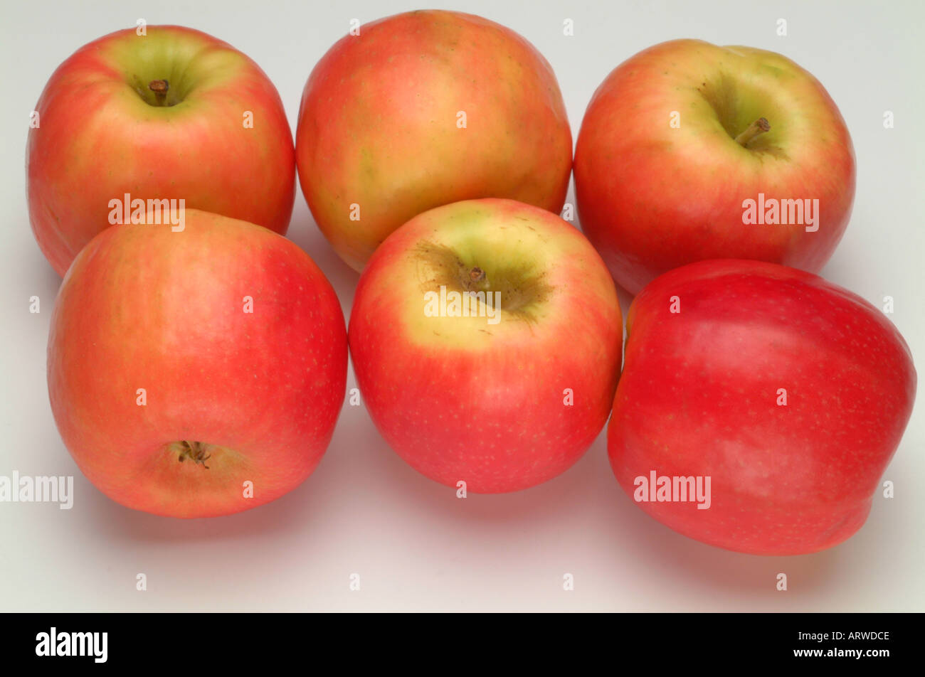 Apple Cripps pink apples whole on white studio background Stock Photo ...