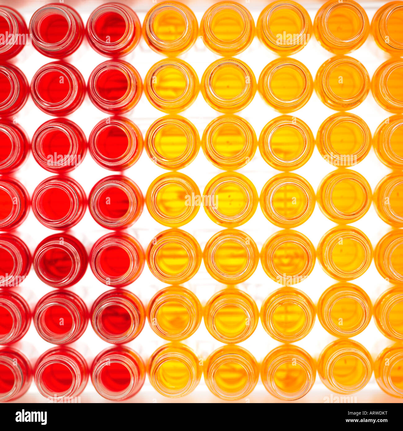 Vials filled with coloured liquid Stock Photo - Alamy