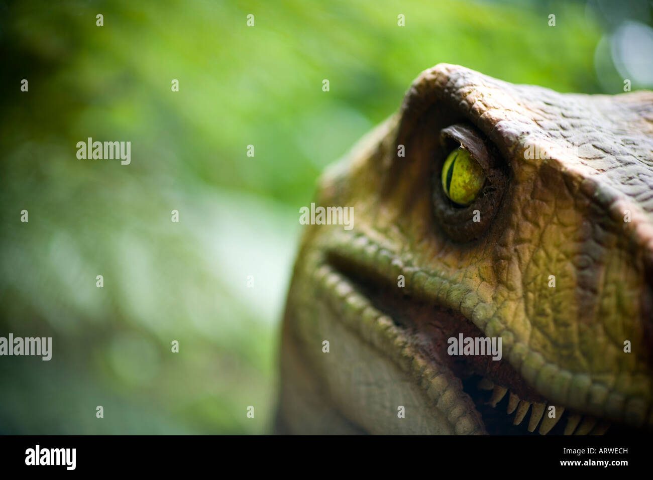 dinosaur eye Stock Photo - Alamy