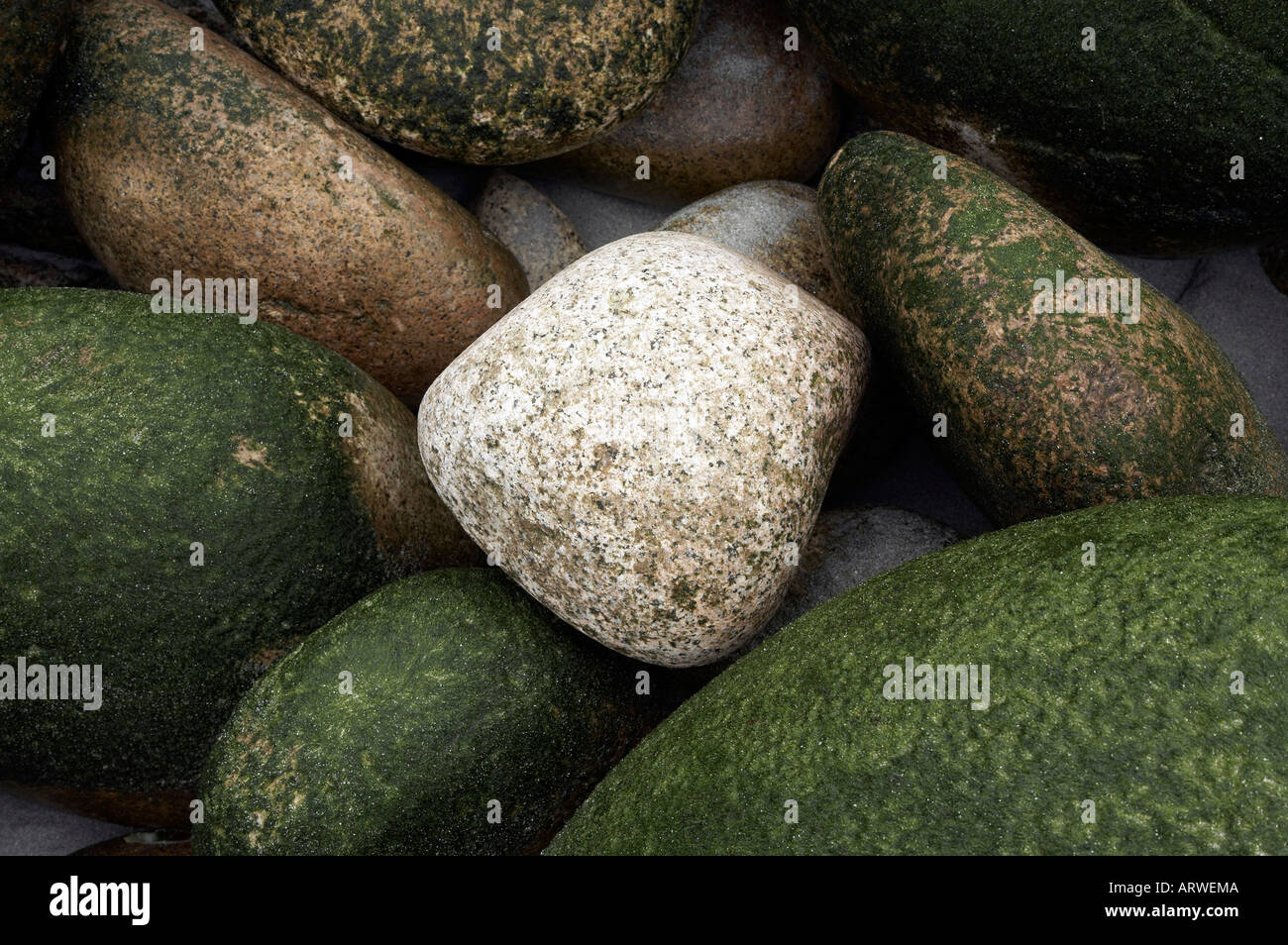 Granite Rocks and Boulders at Porth Nanven near St Just Cornwall ...