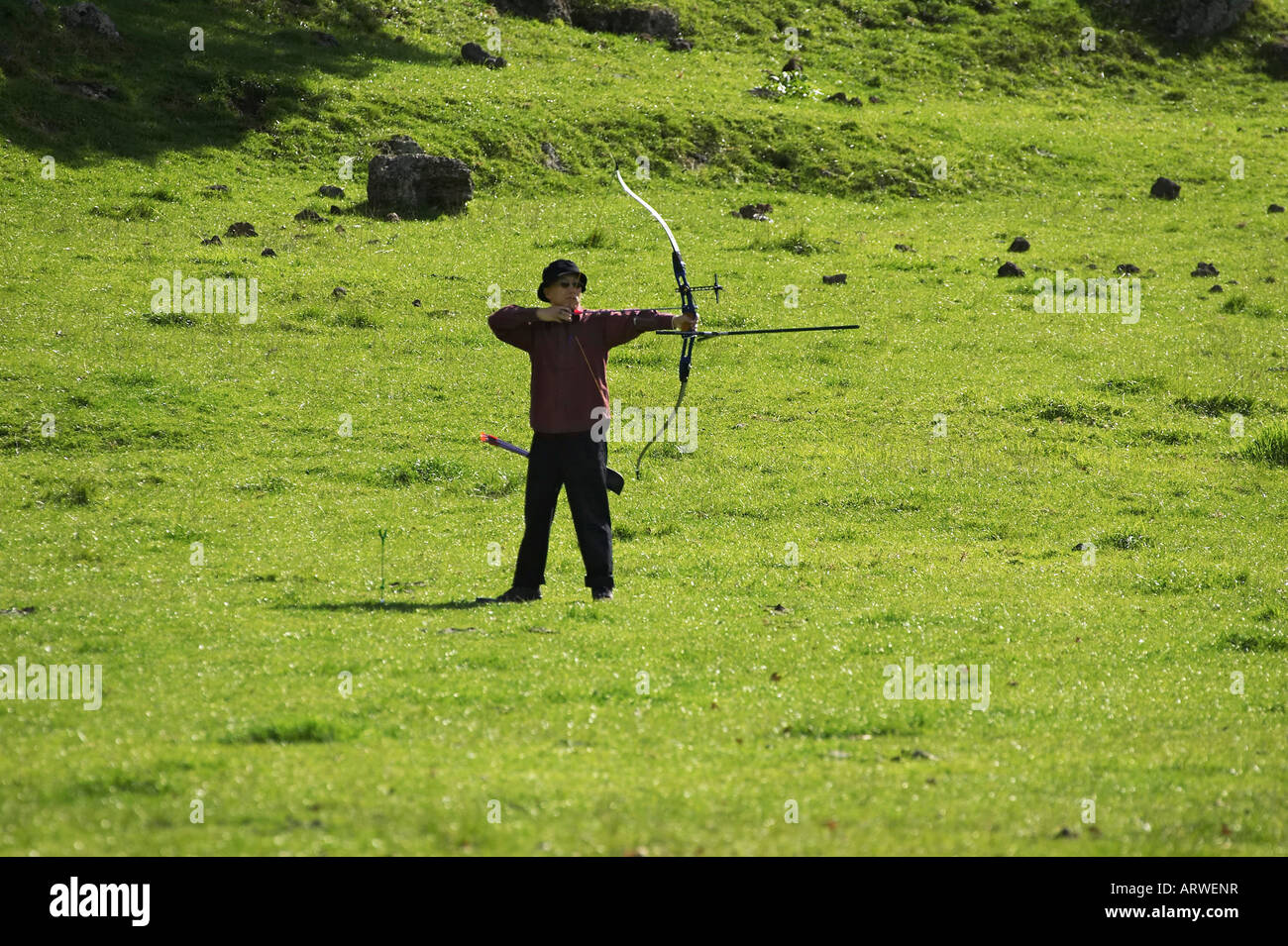 Archer One Tree Hill Domain Auckland North Island New Zealand Stock ...