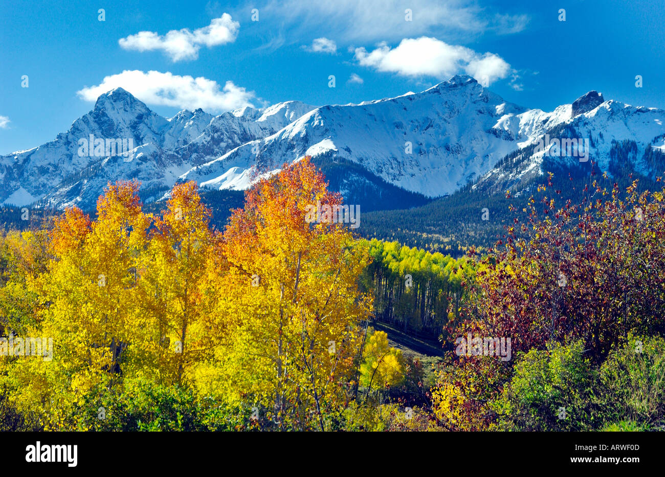 Fall foliage and the mountains at Dallas Divide near Ridgeway Colorado ...