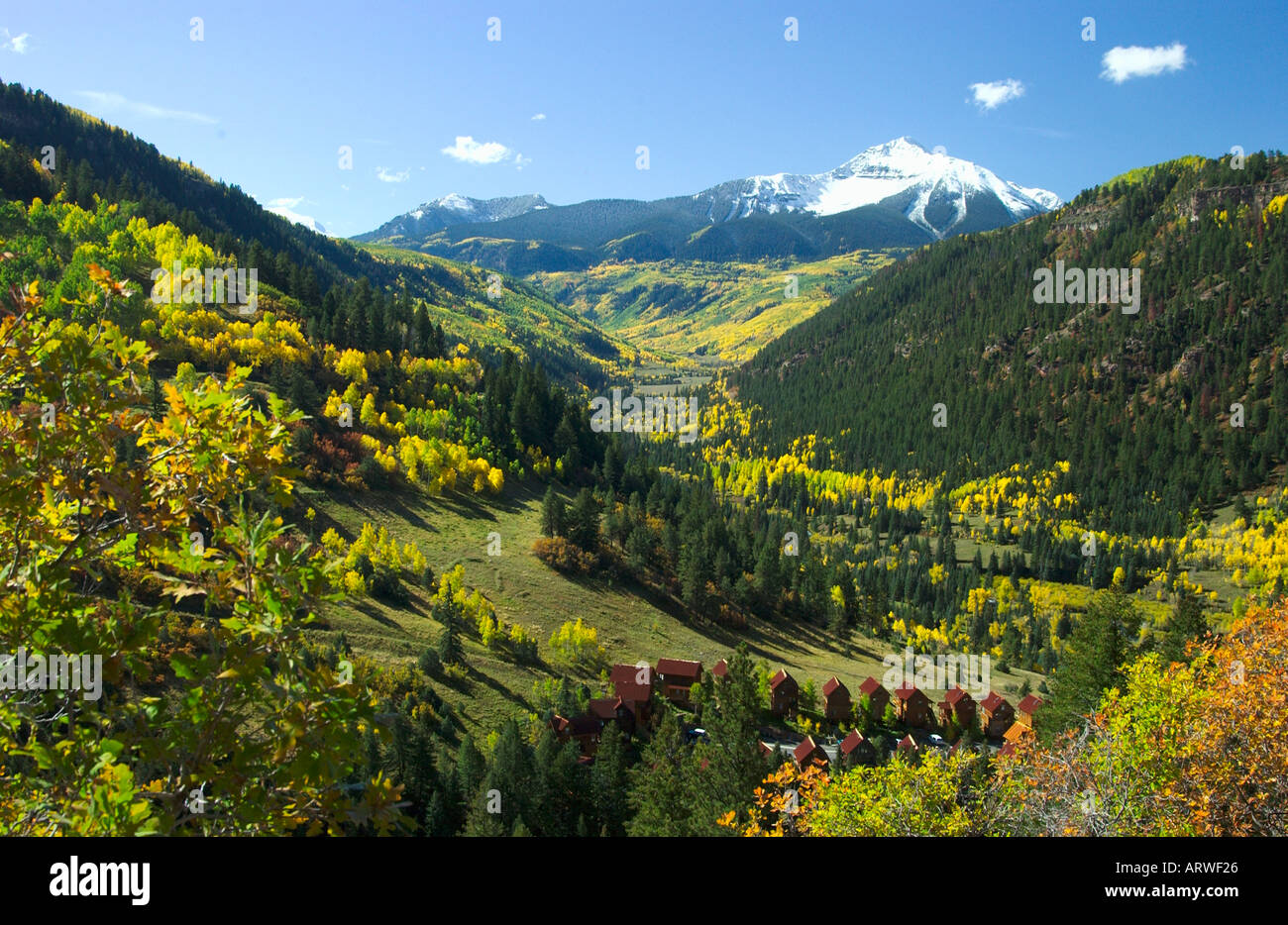 Fall foliage and Wilson Peak near Telluride Colorado USA Stock Photo ...