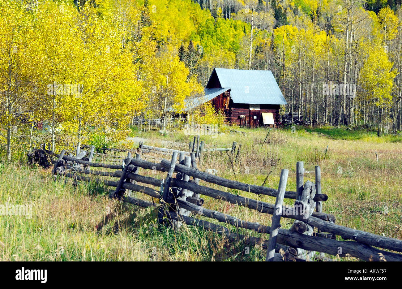 Barn and fall foliage near Telluride Colorado USA Stock Photo - Alamy
