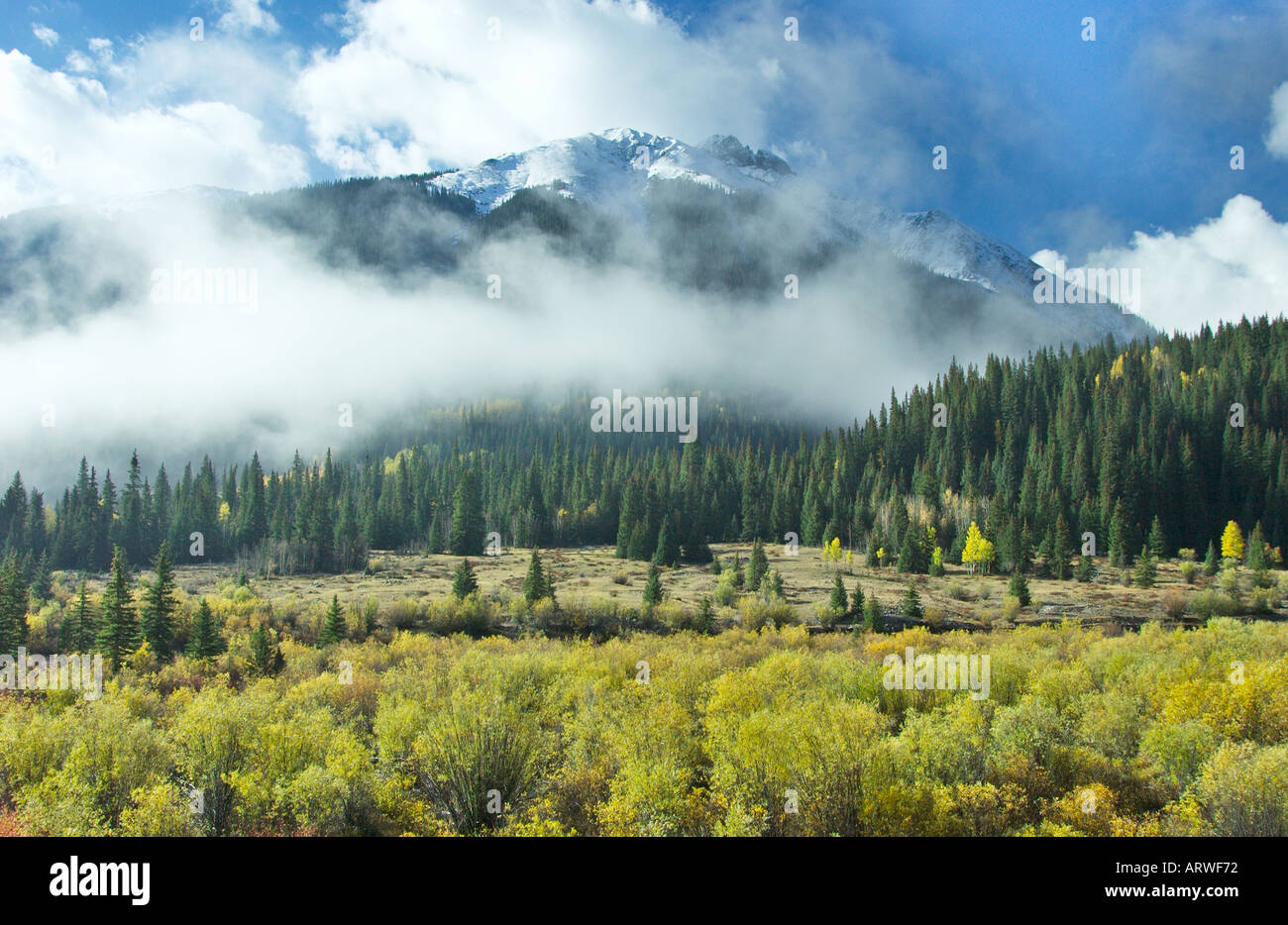 Fall foliage and mountains near Molas Divide near Silverton Colorado ...