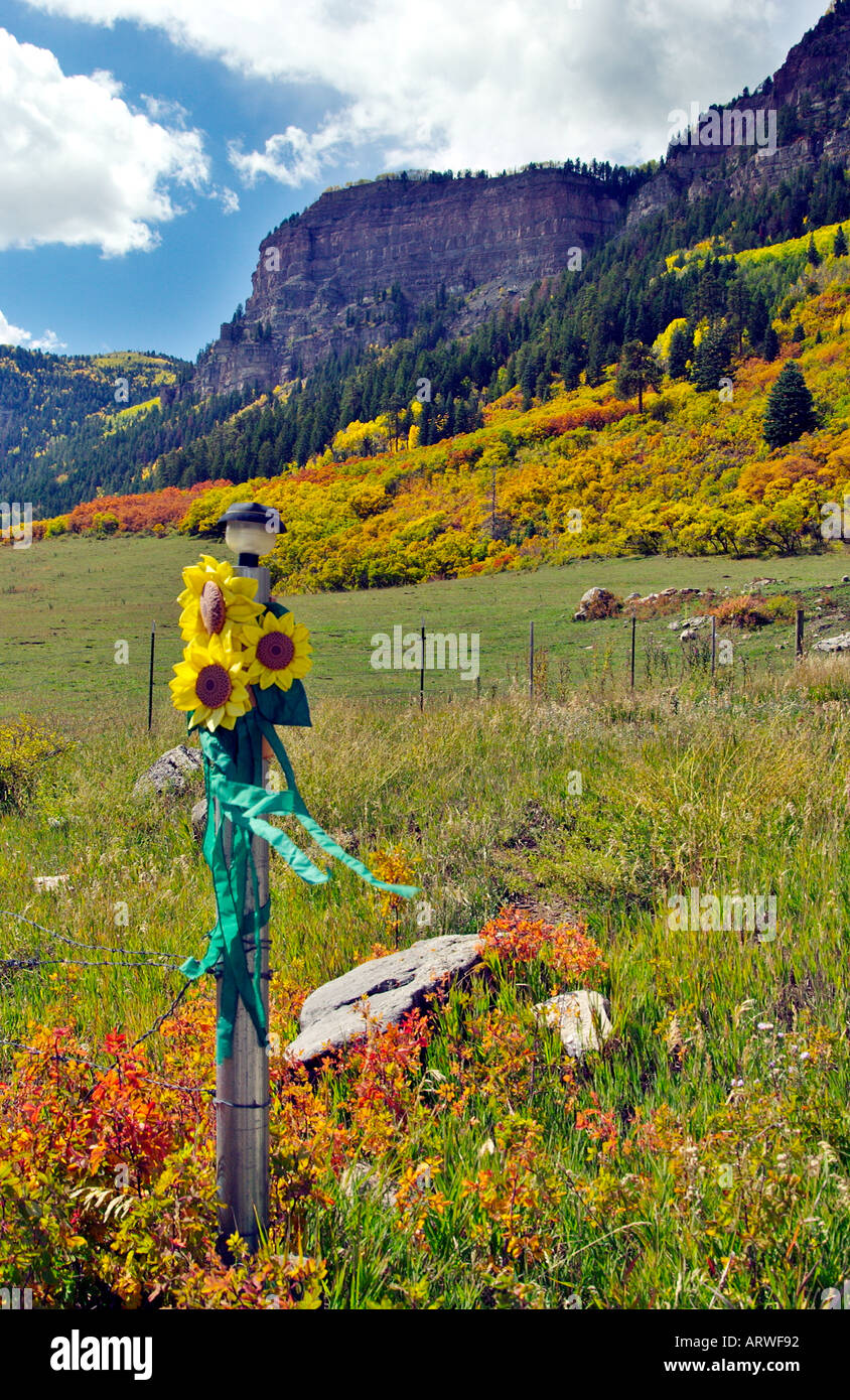 Fall foliage and mountains near Molas Divide near Silverton Colorado ...
