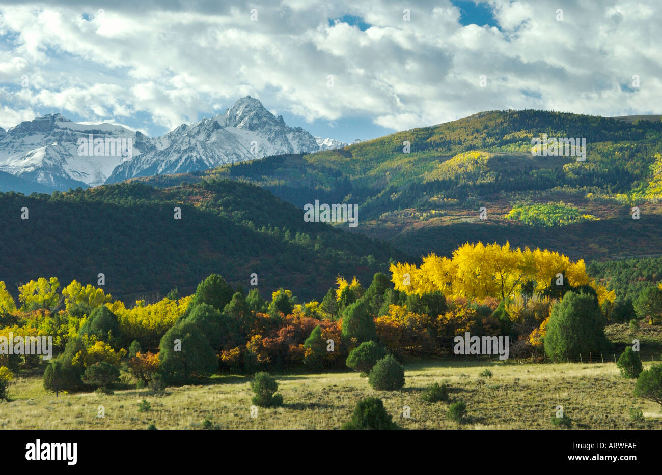 Fall foliage at Dallas divide near Ridgeway Colorado USA Stock Photo ...