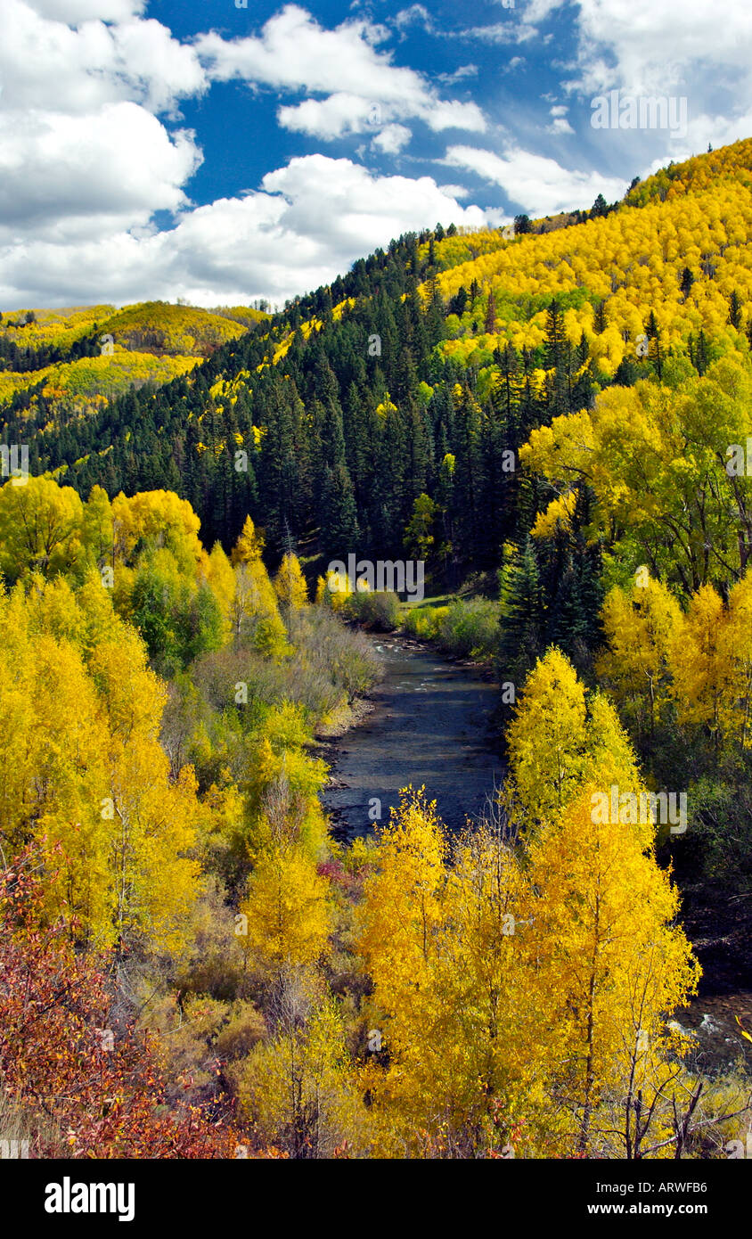 Fall foliage and the Dolores River in Colorado USA Stock Photo - Alamy