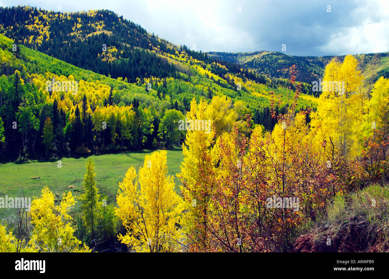 Fall foliage along Colorado 145 and the Dolores River USA Stock Photo ...