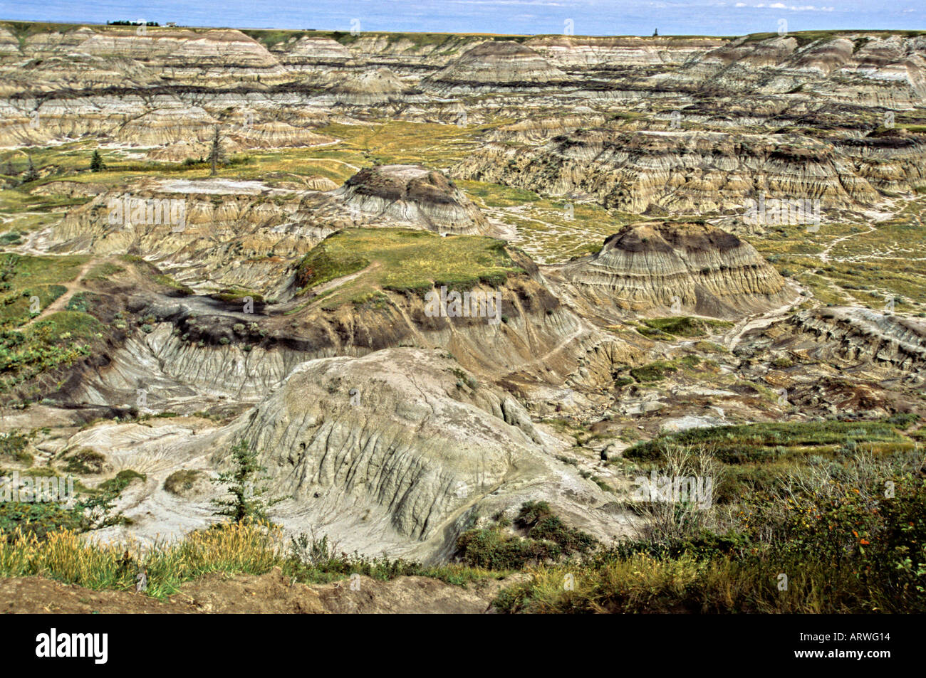 Alberta Badlands 1 Stock Photo - Alamy