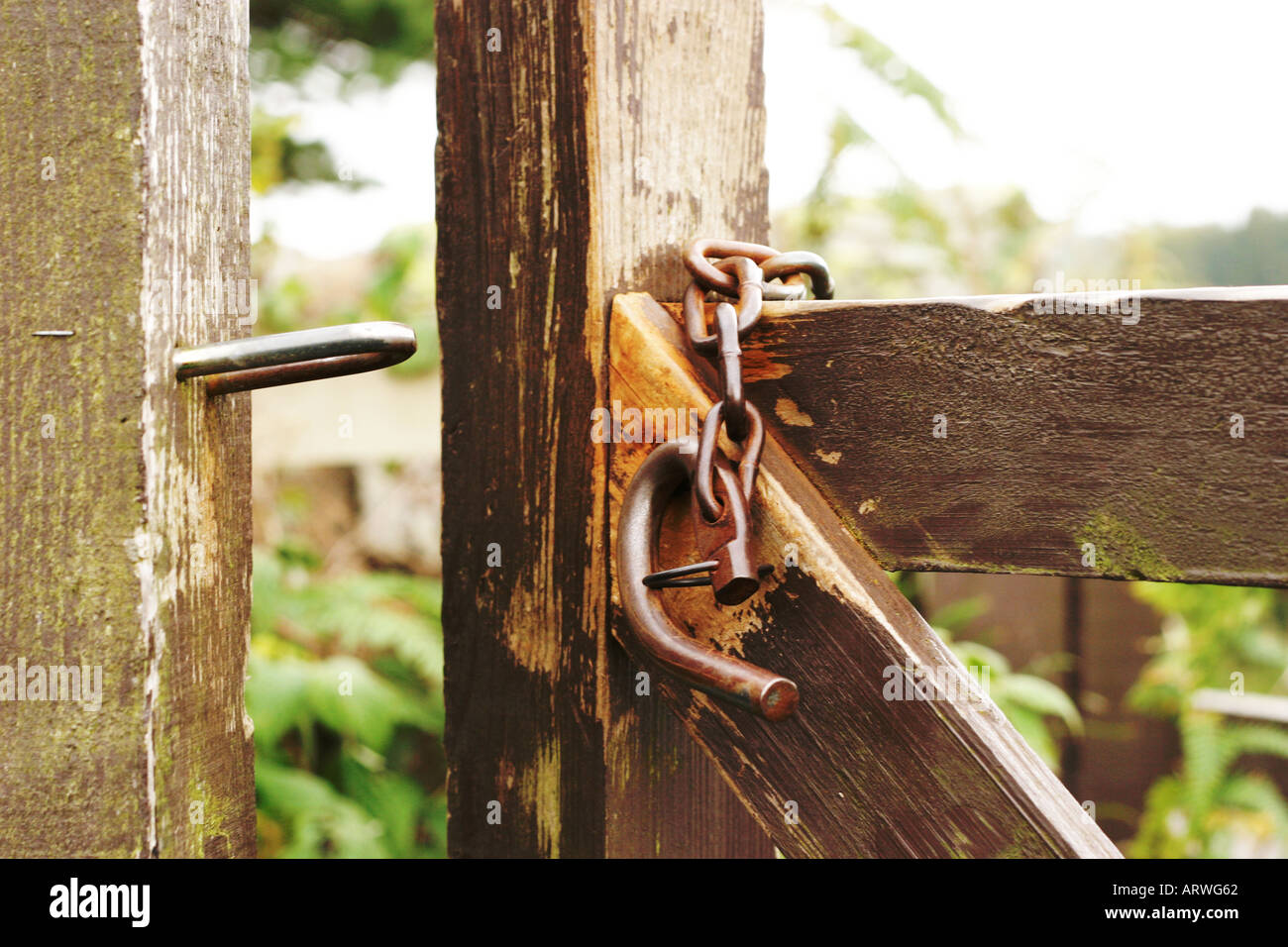 Unlocked steel latch on a timber gate, pentlands scotland 2005 Stock ...