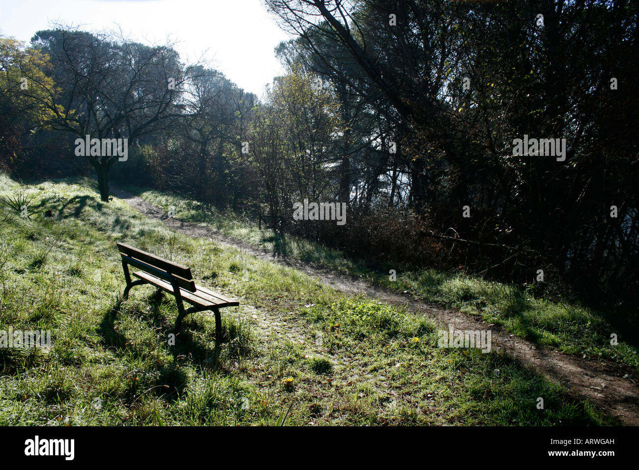 one bench in countryside Stock Photo - Alamy