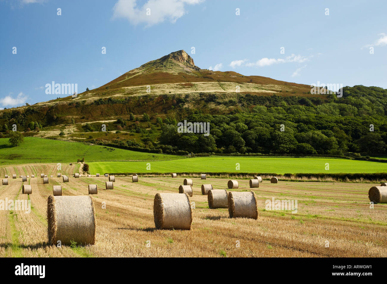 Roseberry Topping and Hay Bales North Yorkshire England Stock Photo - Alamy