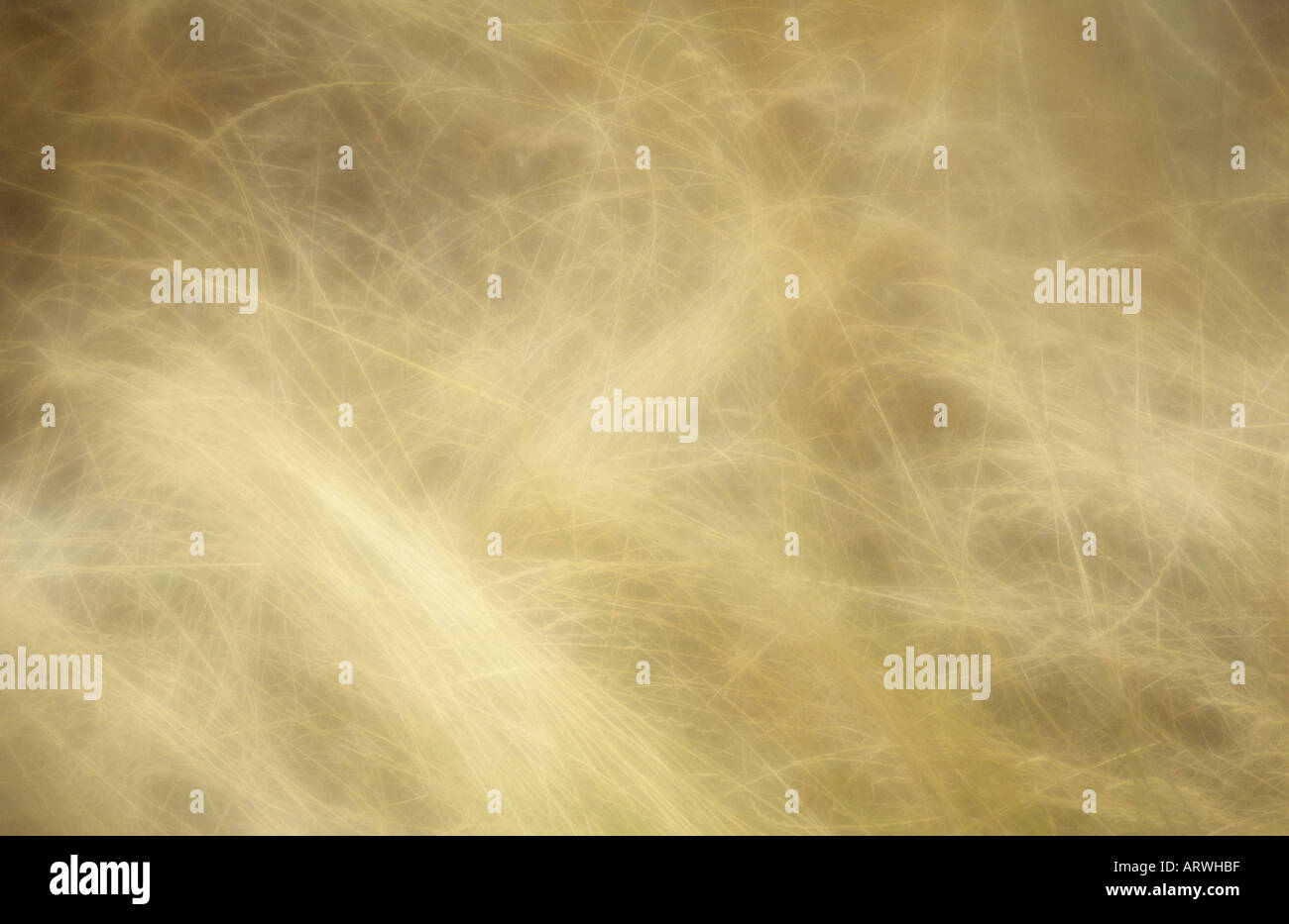 Tangled weeds hi-res stock photography and images - Alamy