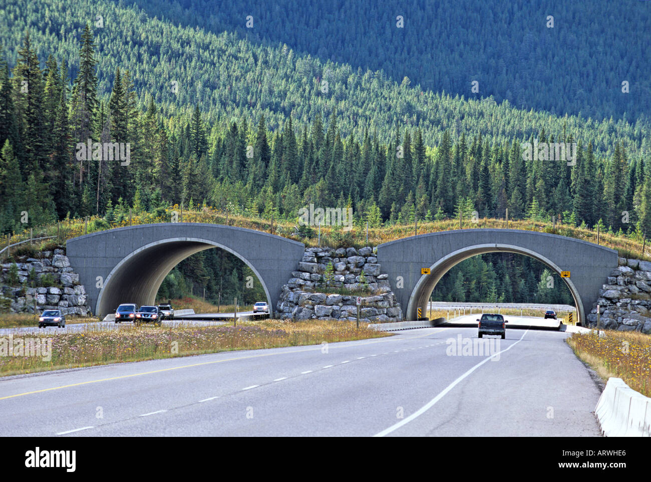 Overpass banff national park hi-res stock photography and images - Alamy
