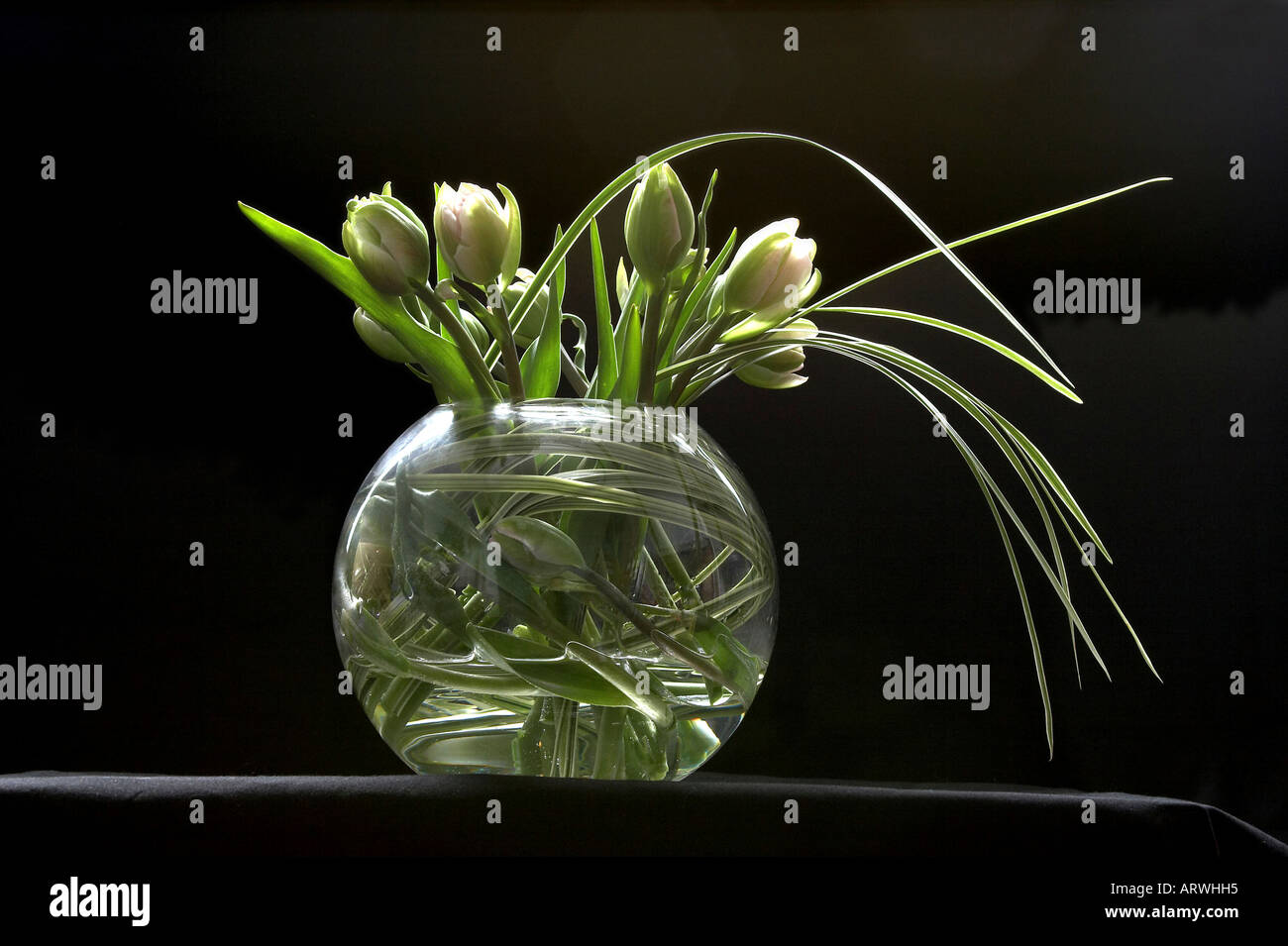 Rose flower arrangement in spherical glss container against a black ...