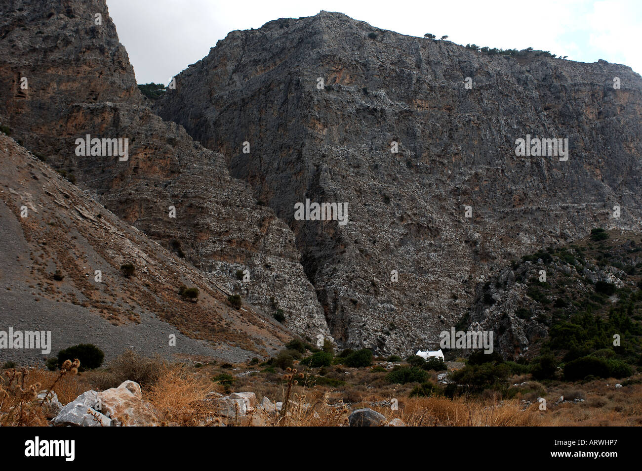 Thriptis hi-res stock photography and images - Alamy