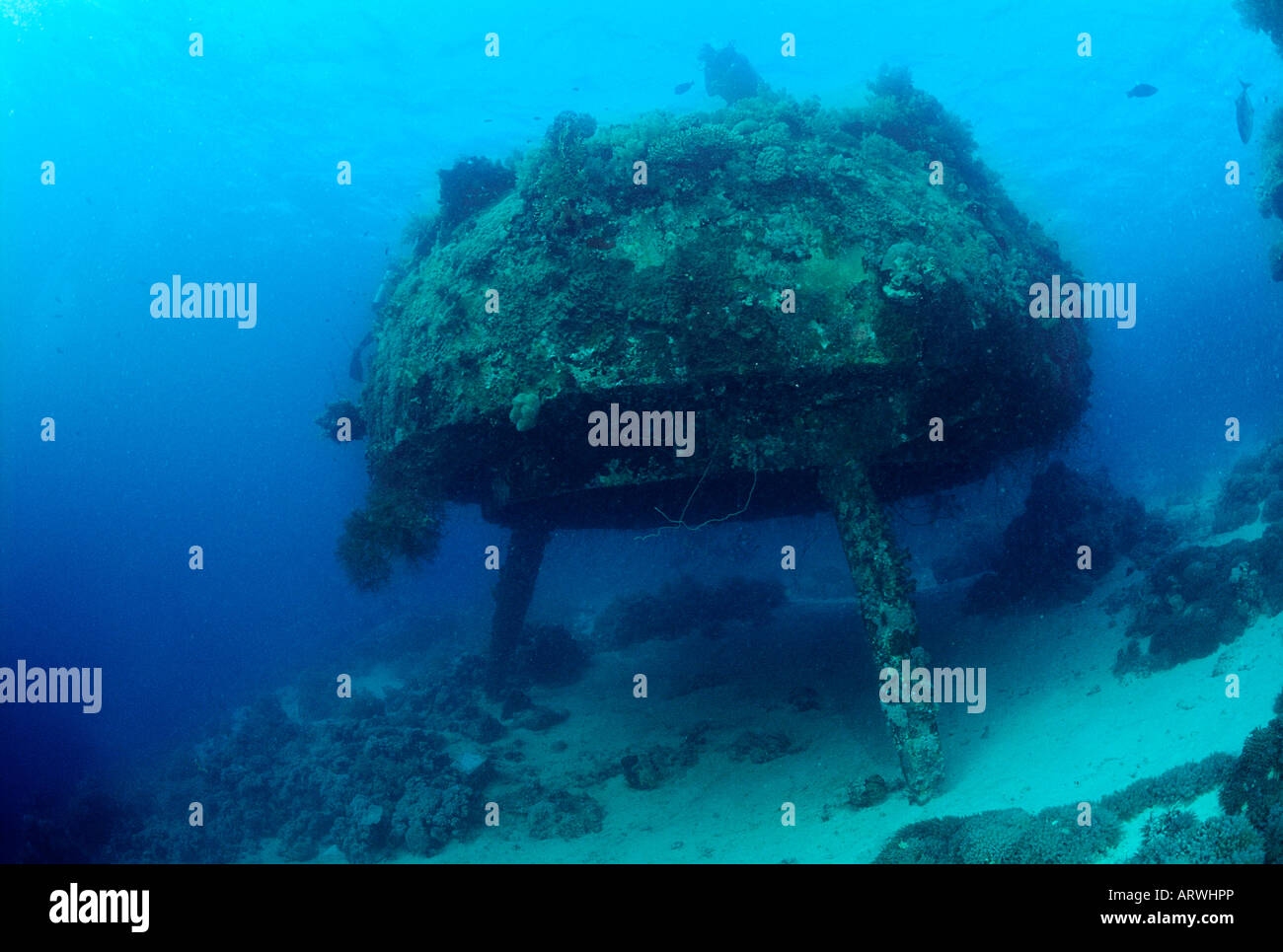 Jacque Cousteaus Precontinent 2 Shaab Rumi Red Sea Sudan Stock Photo ...