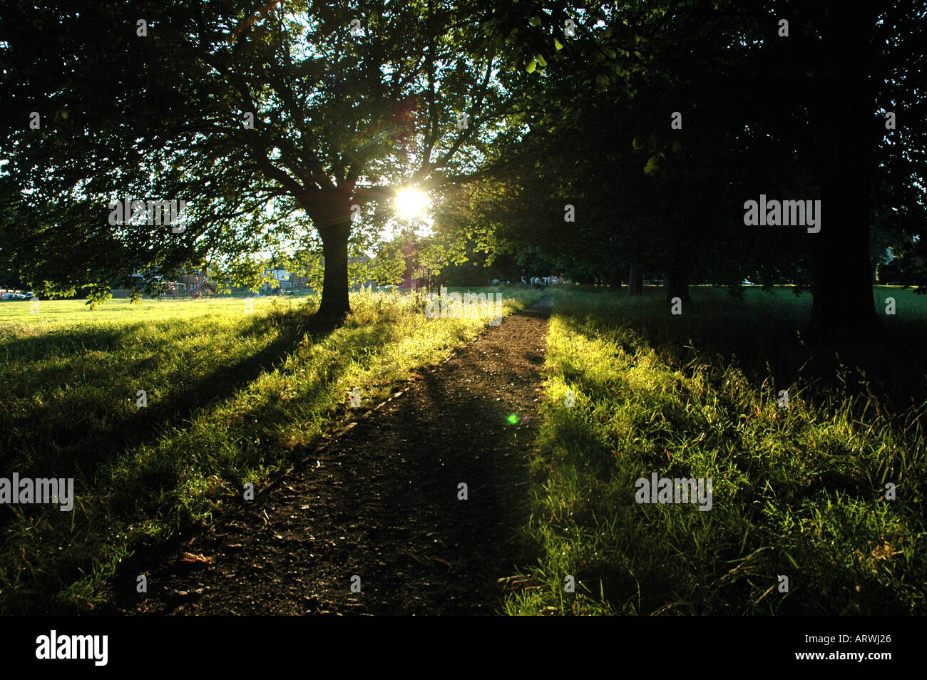 Pathway through a park boxmoor hi-res stock photography and images - Alamy