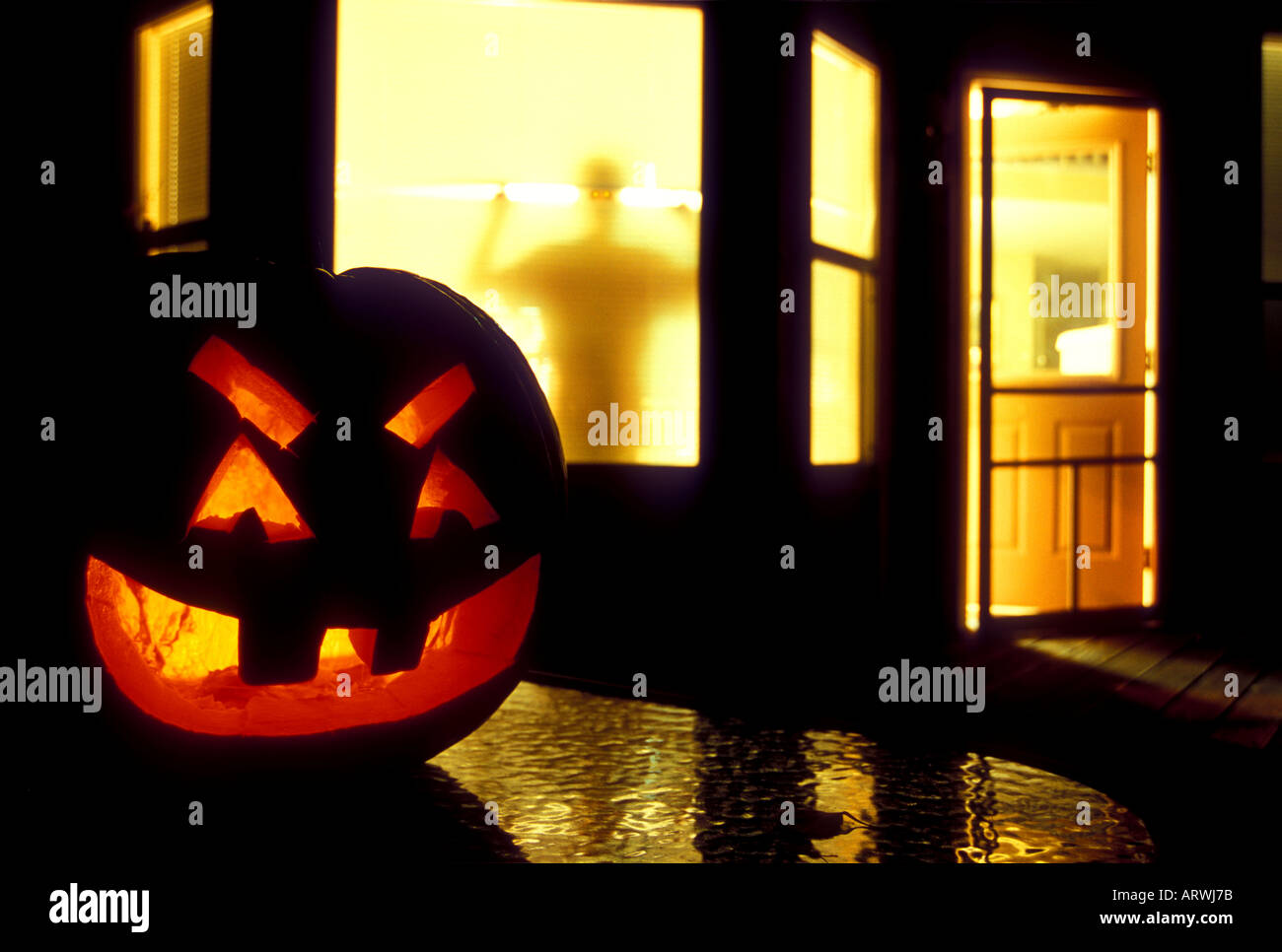 Halloween pumkin or Jack-o-lantern and spooky character looking out the ...