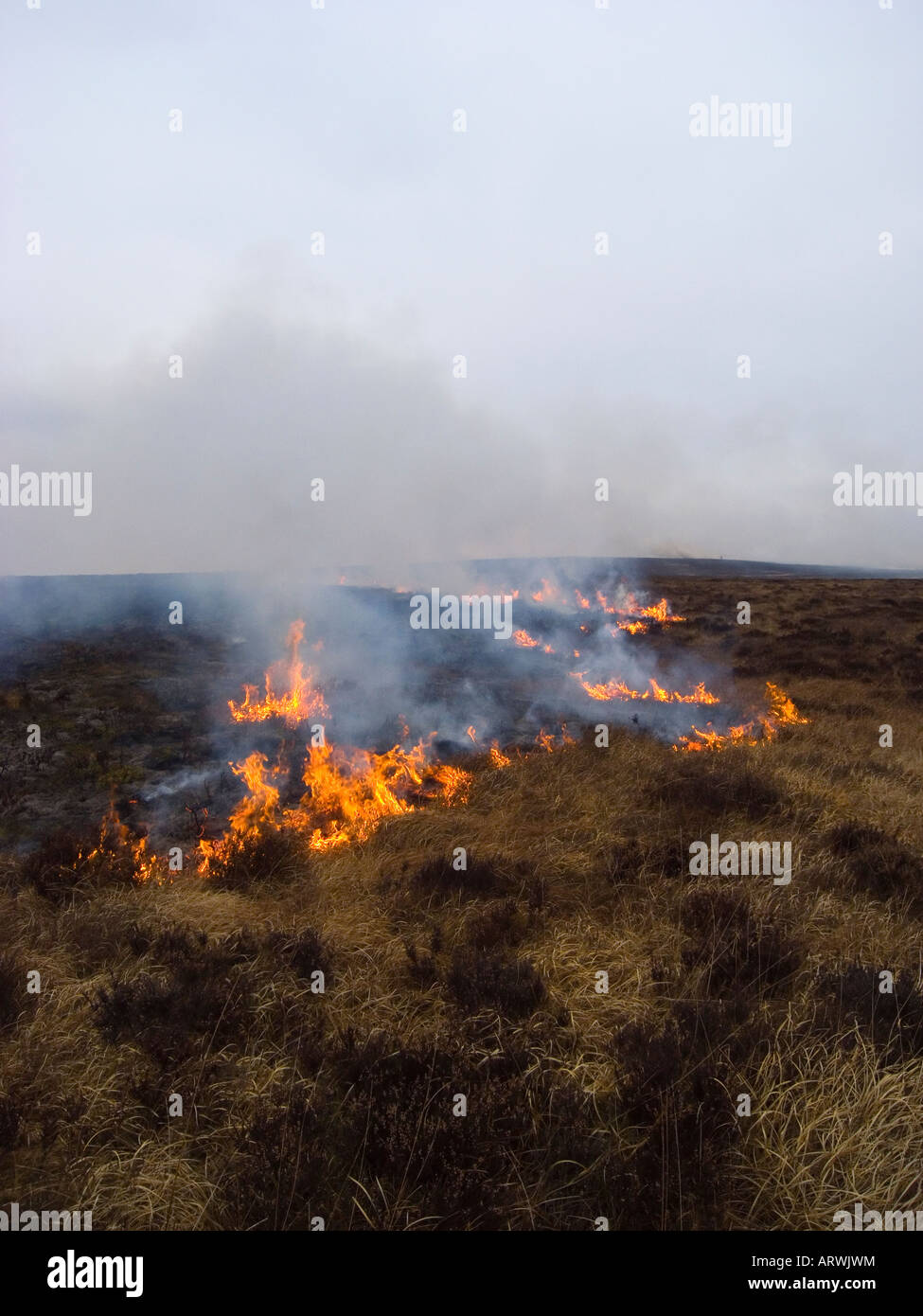 Controlled heather burning on the North Yorkshire Moors to prevent it ...