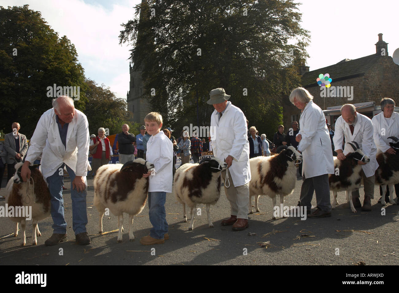Judging at the Masham Sheep Fair Masham near Ripon North Yorkshire ...