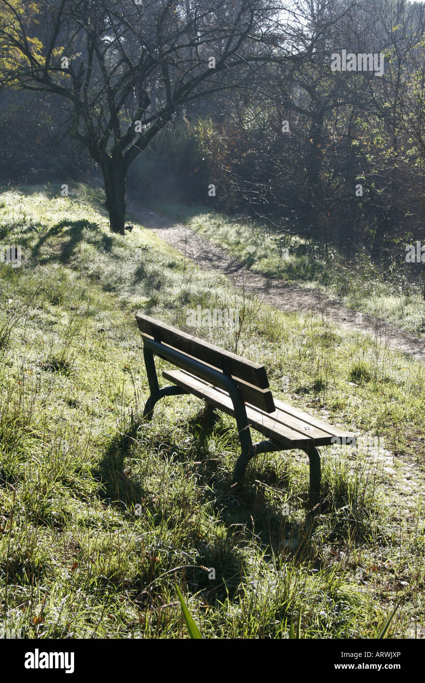 one bench in countryside Stock Photo - Alamy